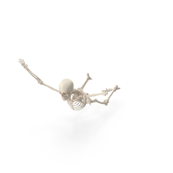 Skeleton Falling PNG Images & PSDs for Download | PixelSquid - S106046952