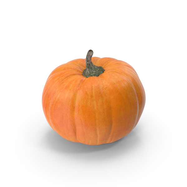 Pumpkin PNG Images & PSDs for Download | PixelSquid - S11213128A