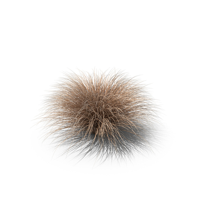 Carex PNG Images & PSDs for Download | PixelSquid