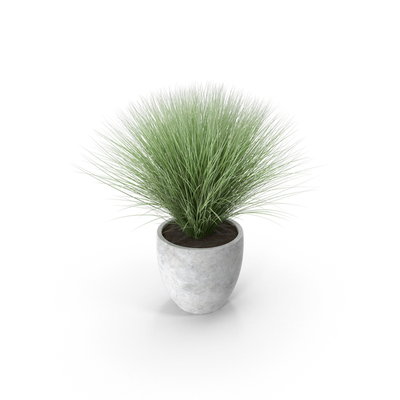 Carex PNG Images & PSDs for Download | PixelSquid