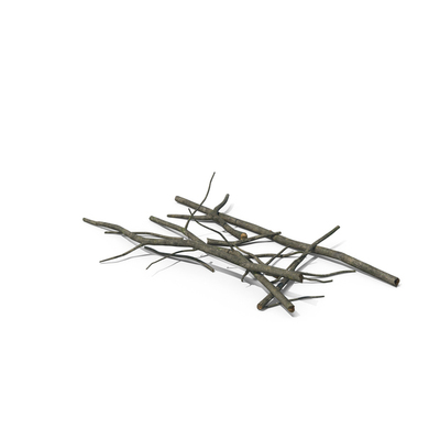 Dead Plant PNG Images & PSDs for Download | PixelSquid