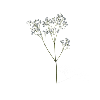 Gypsophila Paniculata PNG Images & PSDs for Download | PixelSquid