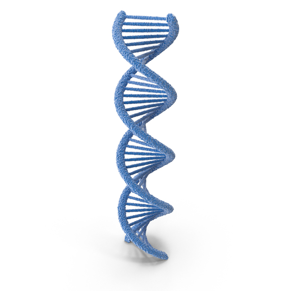 DNA PNG Images & PSDs for Download | PixelSquid - S11264651E