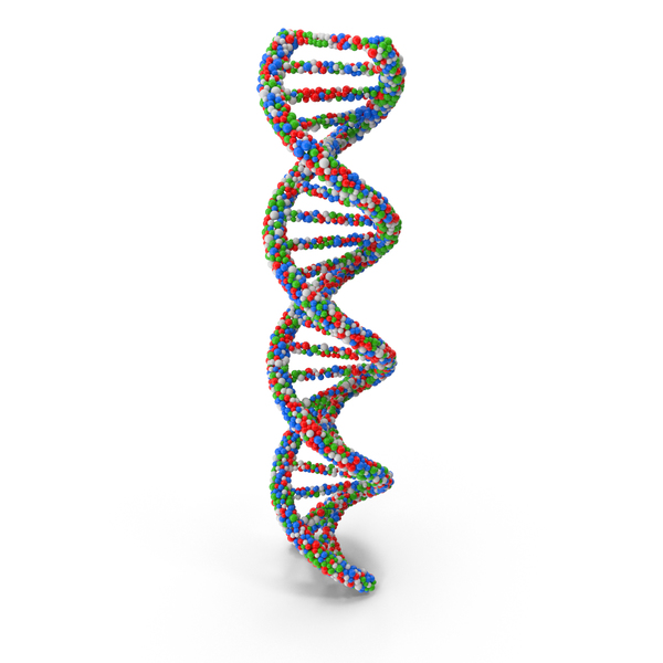 DNA Chain PNG Images & PSDs for Download | PixelSquid - S117973903