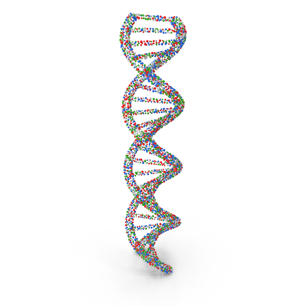 DNA PNG Images & PSDs for Download | PixelSquid - S10601307A