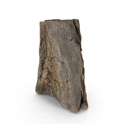 Dead Plant PNG Images & PSDs for Download | PixelSquid