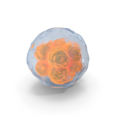 Cell Division PNG Images & PSDs for Download | PixelSquid