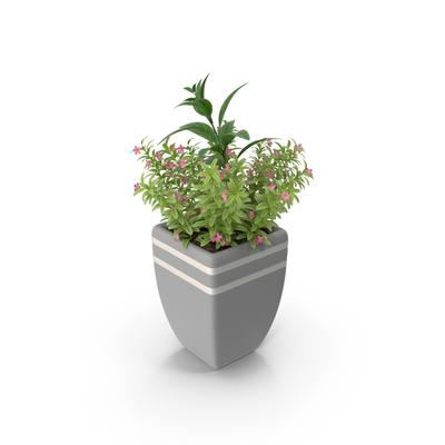 Planter PNG Images & PSDs for Download | PixelSquid