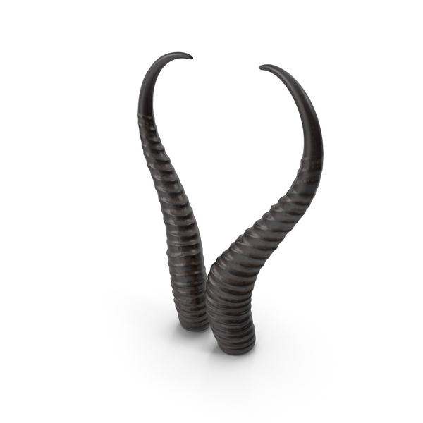 Horns PNG Images & PSDs for Download | PixelSquid - S115421835