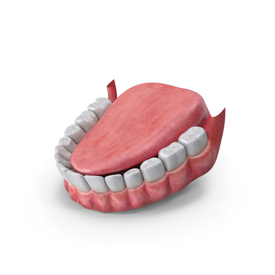 Teeth PNG Images & PSDs for Download | PixelSquid