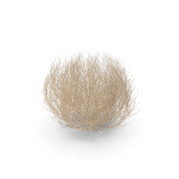 Low Poly Tumbleweed PNG Images & PSDs for Download | PixelSquid - S107233718