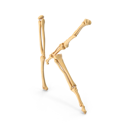 Bone PNG Images & PSDs for Download | PixelSquid