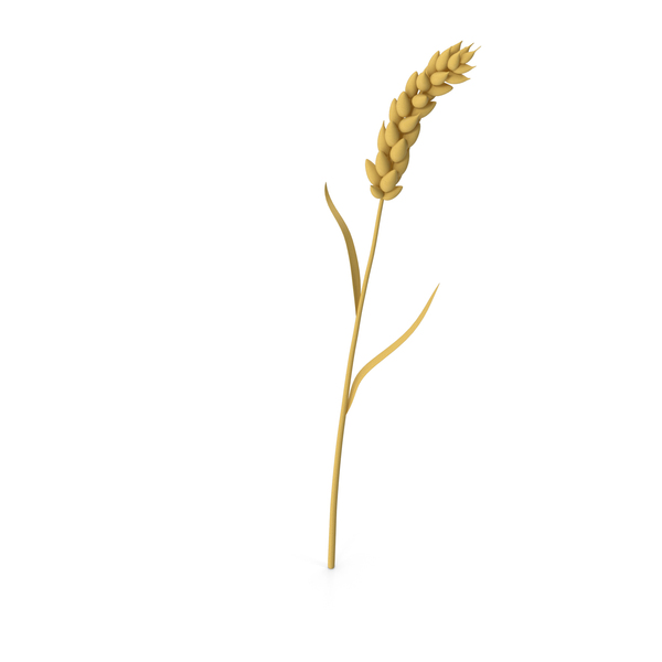 Common Wheat Field PNG Images & PSDs for Download | PixelSquid - S11295929B