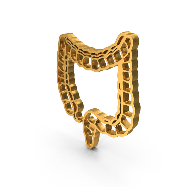 Small Intestine PNG Images & PSDs for Download | PixelSquid - S112880625