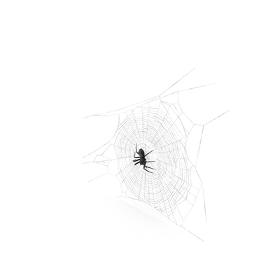 Spider Web PNG Images & PSDs for Download | PixelSquid