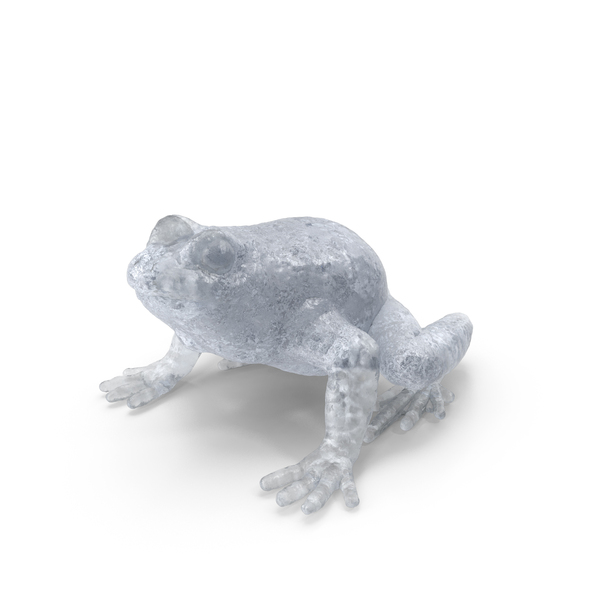 Sculpted Frog PNG Images & PSDs for Download | PixelSquid