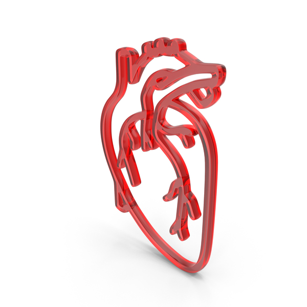 Human Heart PNG Images & PSDs for Download | PixelSquid
