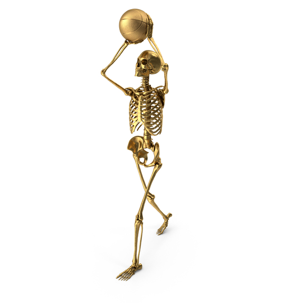 Soccer Player PNG Images & PSDs for Download | PixelSquid