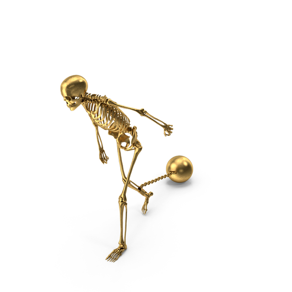 Stride PNG Images & PSDs for Download | PixelSquid