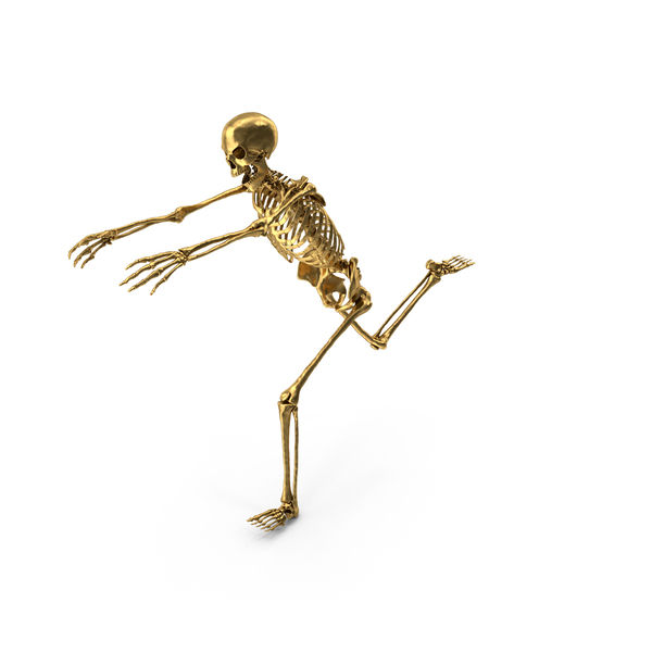 Chasing PNG Images & PSDs for Download | PixelSquid