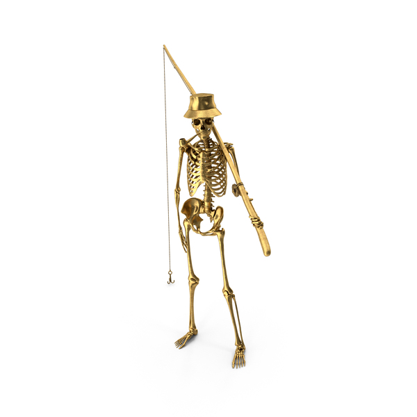 Skeleton PNG Images & PSDs for Download | PixelSquid