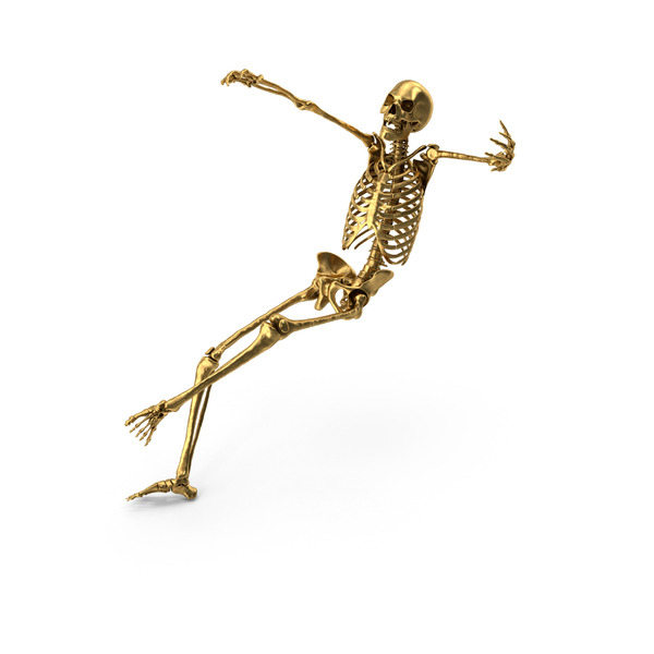 Skeletal PNG Images & PSDs for Download | PixelSquid