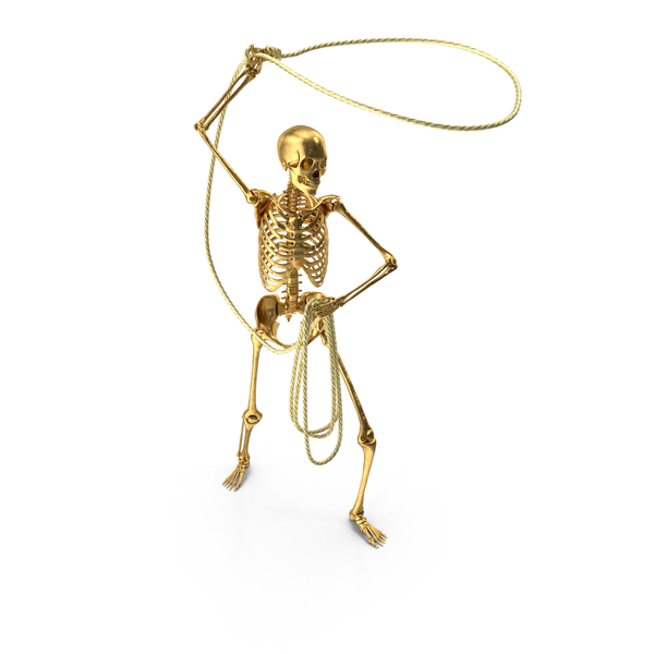 Ropes PNG Images & PSDs for Download | PixelSquid