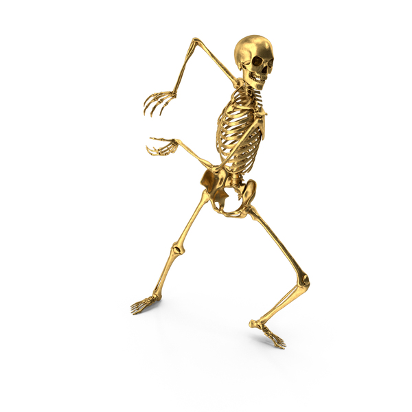 Human Body PNG Images & PSDs for Download | PixelSquid