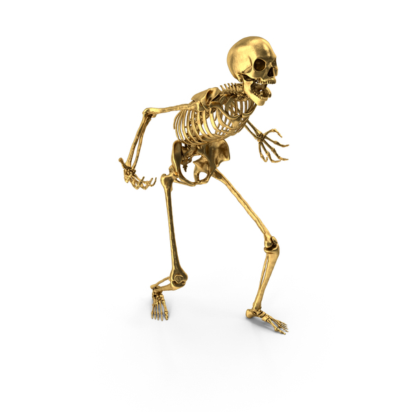 Characters PNG Images & PSDs for Download | PixelSquid