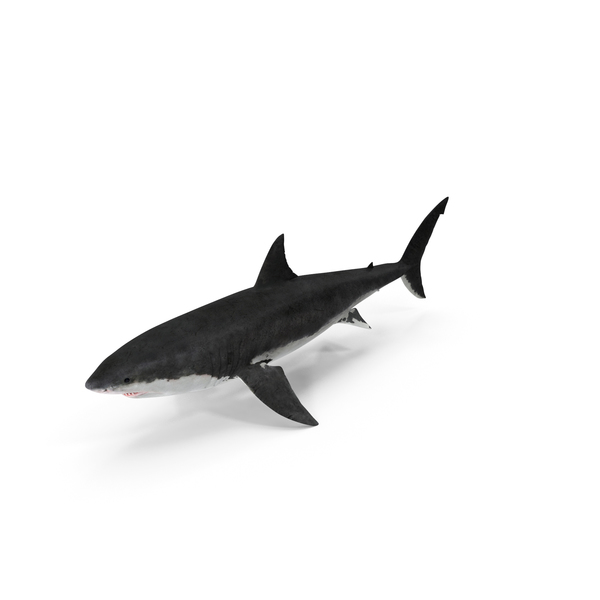 Great Iowa Treasure Hunt PNG Images & PSDs for Download | PixelSquid Great Iowa Treasure Hunt PNG Images & PSDs for Download | PixelSquid