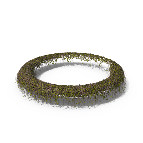 Ivy Vines Horizontal Ring PNG Images & PSDs for Download | PixelSquid ...