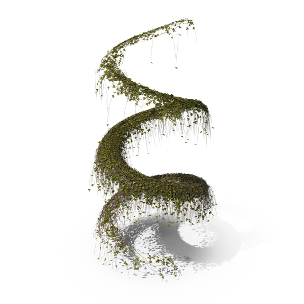 Green Cover PNG Images & PSDs for Download | PixelSquid