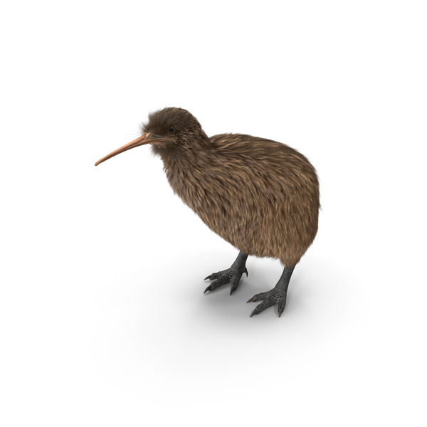 Haydie May Bird Porn PNG Images & PSDs for Download | PixelSquid Haydie May Bird Porn PNG Images & PSDs for Download | PixelSquid