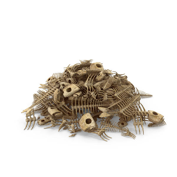 Fish Bone PNG Images & PSDs for Download | PixelSquid