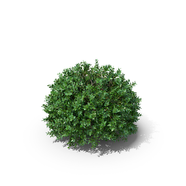 Ladscape PNG Images & PSDs for Download | PixelSquid