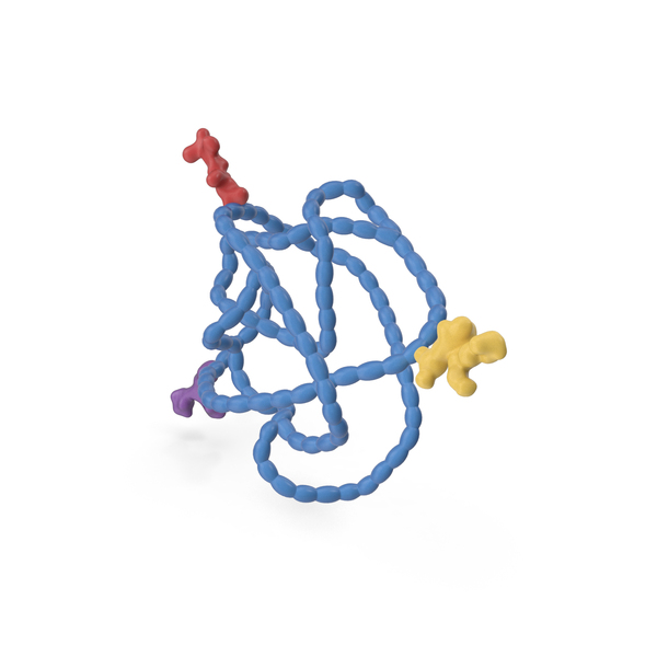 Exploring Protein Native States And Large Scale Conformational Changes ... Exploring Protein Native States And Large Scale Conformational Changes ...
