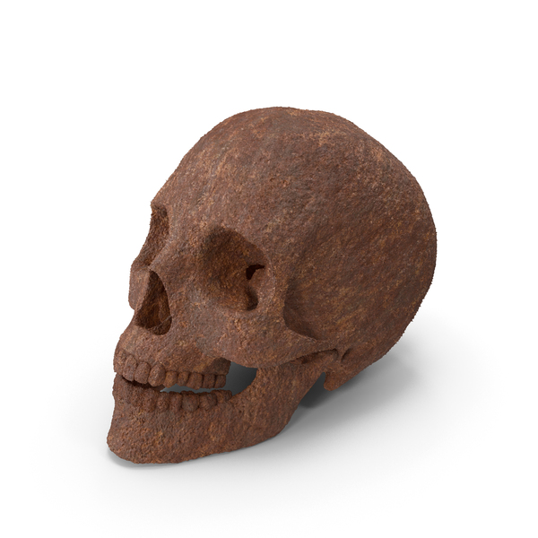 Skeletal System PNG Images & PSDs for Download | PixelSquid