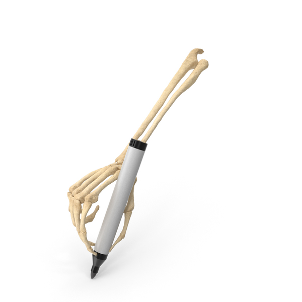 Skeletons PNG Images & PSDs for Download | PixelSquid