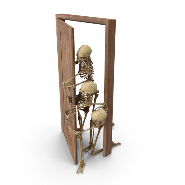 Anatomy PNG Images & PSDs for Download | PixelSquid