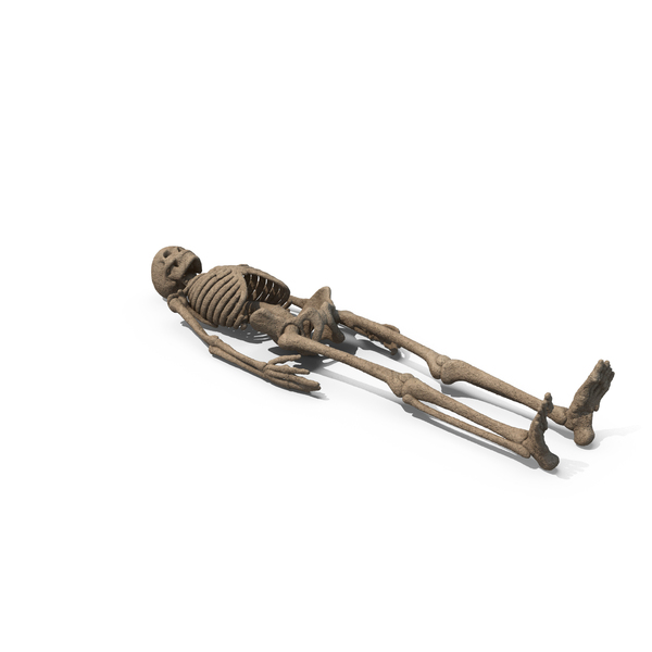 Humanity PNG Images & PSDs for Download | PixelSquid