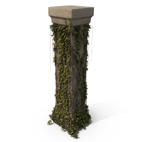 Vine PNG Images & PSDs for Download | PixelSquid