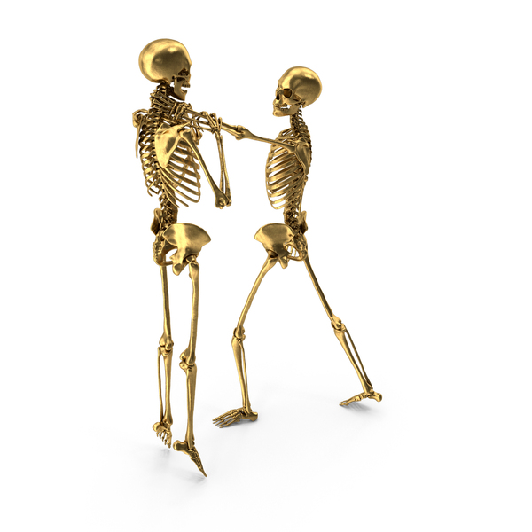 Having PNG Images & PSDs for Download | PixelSquid