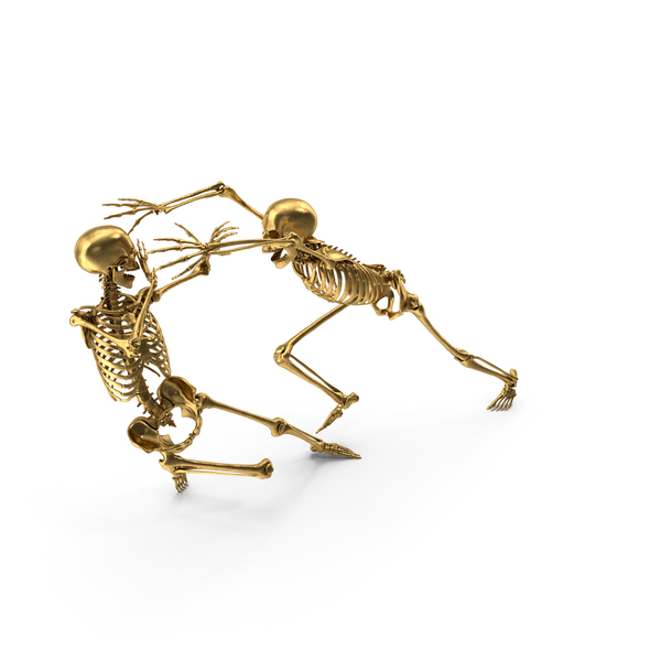 Metatarsal Bone PNG Images & PSDs for Download | PixelSquid