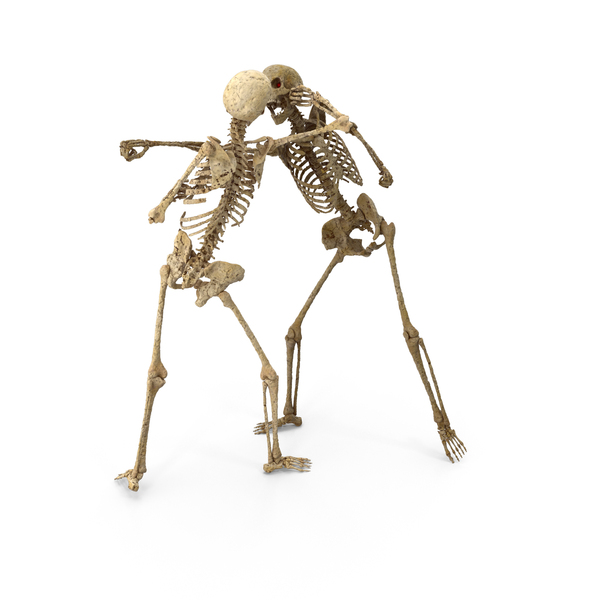 Monster PNG Images & PSDs for Download | PixelSquid