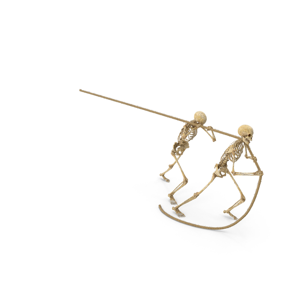 Skeleton PNG Images & PSDs for Download | PixelSquid