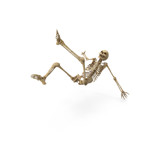 Female Skeleton PNG Images & PSDs for Download | PixelSquid