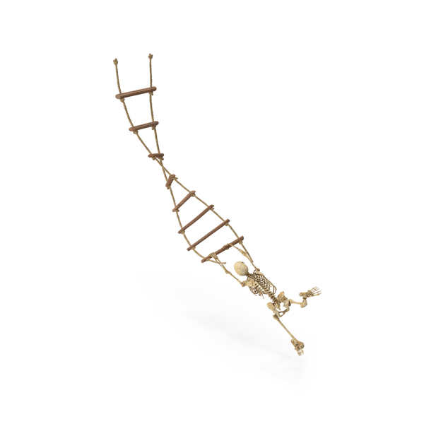 Corpses PNG Images & PSDs for Download | PixelSquid