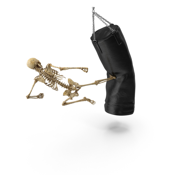Punching Bag PNG Images & PSDs for Download | PixelSquid