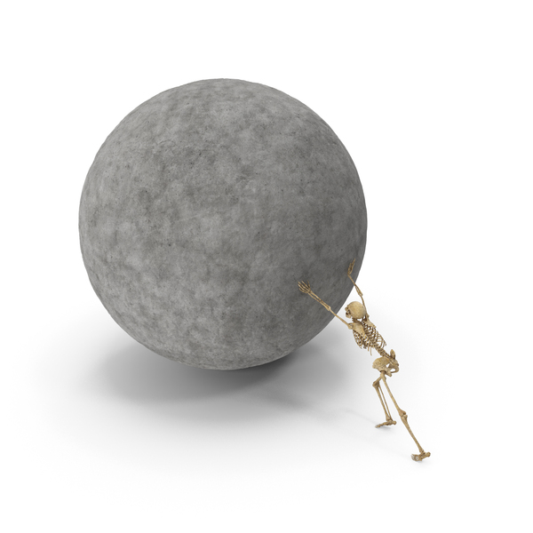 Pelvis PNG Images & PSDs for Download | PixelSquid