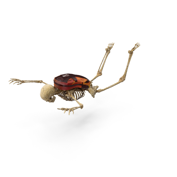 Characters PNG Images & PSDs for Download | PixelSquid